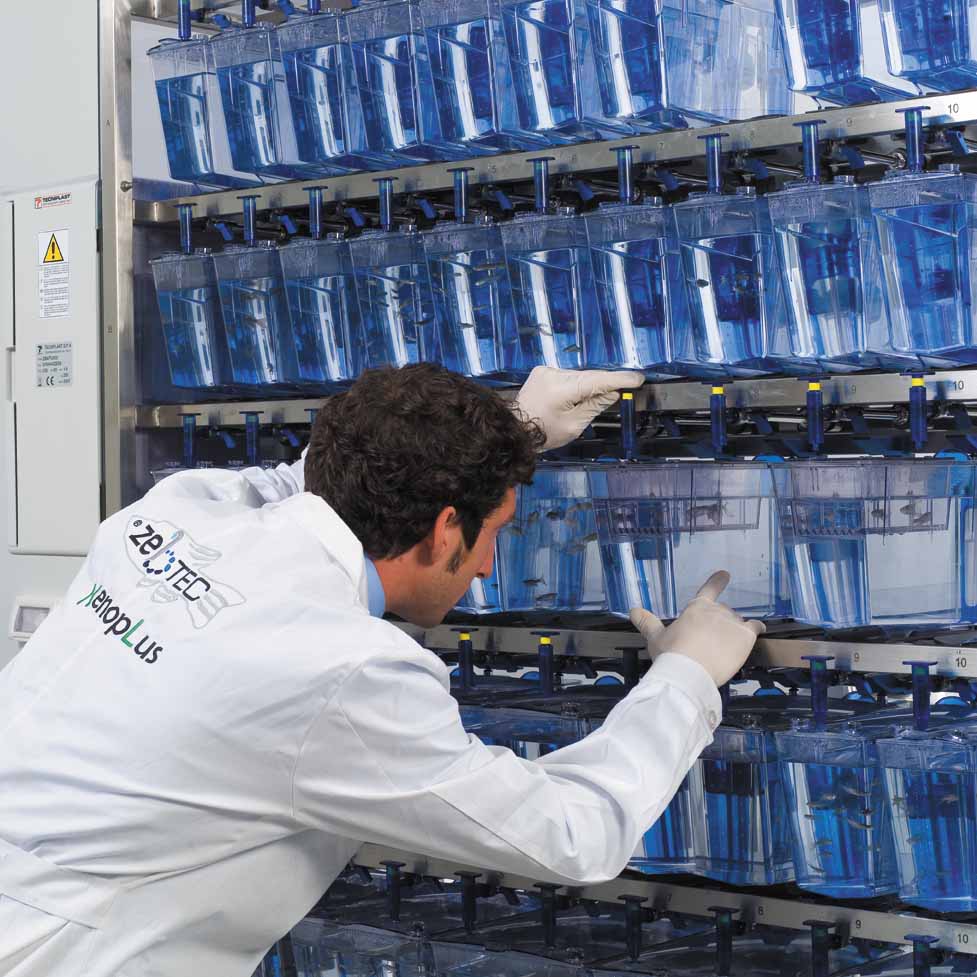 Aquatics Systems - Centralized Filtration / CLS