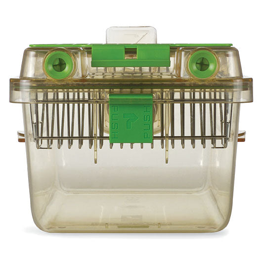 Green Line Stainless Steel Food Hopper for GM500