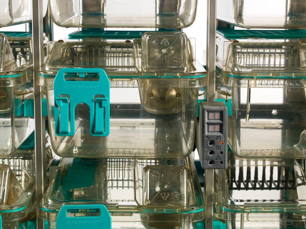 EMber IVC Heating System