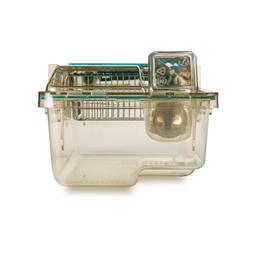 Individually Ventilated Cages (IVCs) for Mice
